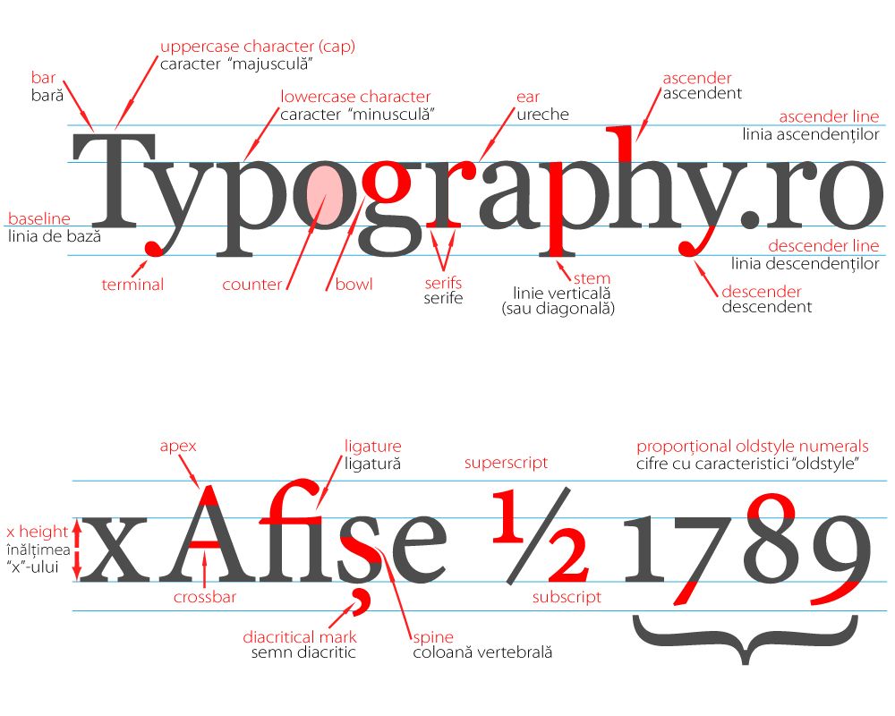 Typography L G T t T n T t Nh ng i u C n Bi t V Typography 